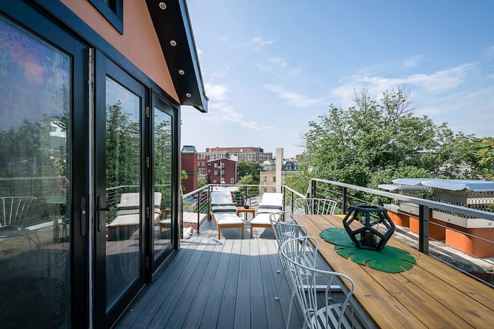 Rooftop Dupont: Metro Dogs Ok 50" Roku Fast Wi-fi - Washington, D.C.