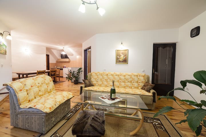 Apartment Serdar - Zlatibor
