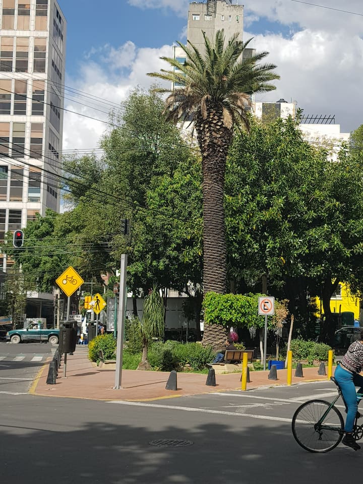Great Spot! @Condesazone - メキシコシティ
