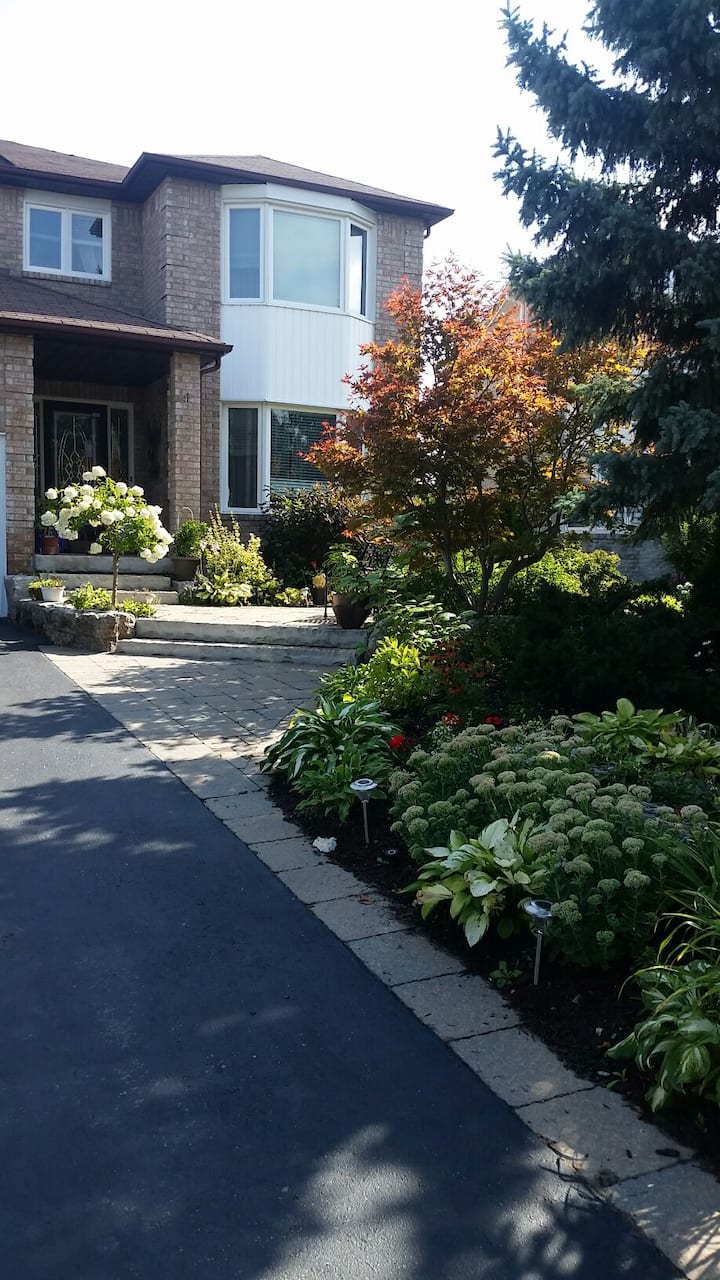 Cozy, Modern, Walkout Bmt Apt. In Vaughan, On. - Vaughan