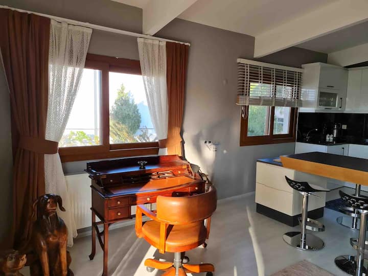 2+1 Air Conditioned&high Quality Unit At Seaside - İzmir