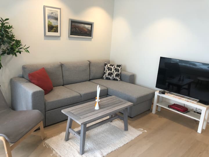 Sentral Leilighet I Kristiansand - Kristiansand