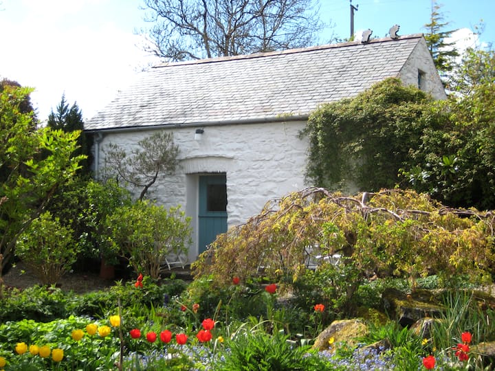 Stunning Garden Cottage Near Pembrokeshire Coast - Pembrokeshire