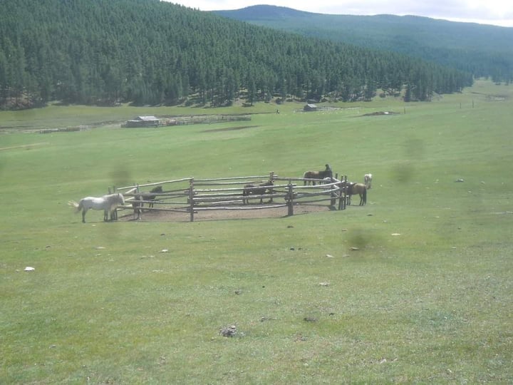 Accommodation At Mongol Farm In Khovsgol Mongolia - Mongolia
