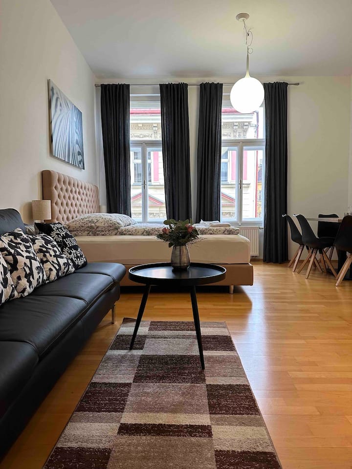 Căn Hộ đẹP ở Trung Tâm Praha - Praga