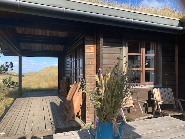 Vesterhav, Hus Med Havudsigt For Naturelskere. - Saltum