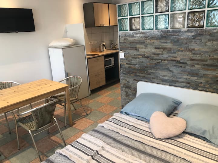 Logement Rénové Climatisé - Èze