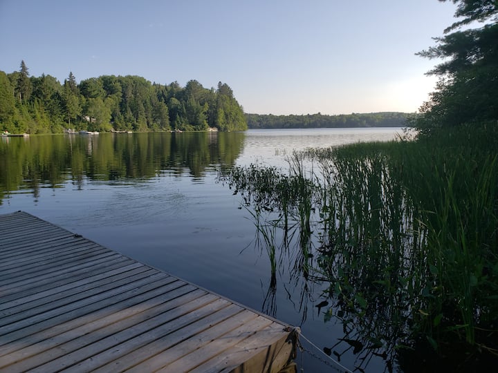 Cozy Waterfront Gem In Kearney - Ontario 60