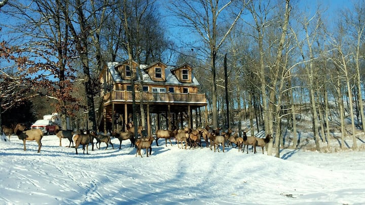 5 Best Treehouse Cabins In Shawnee National Forest, Illinois - Updated ...