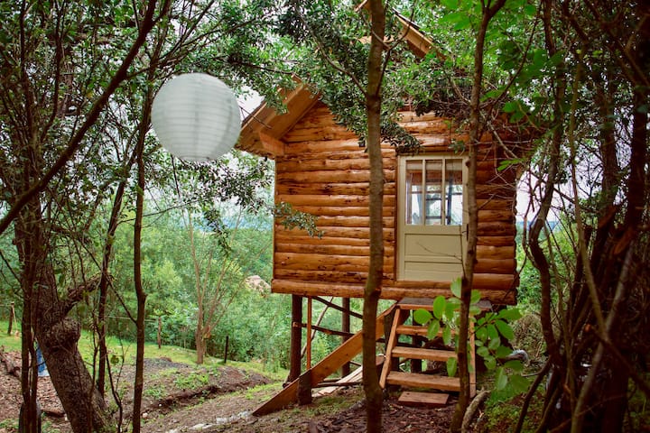 Transylvania Tree House - Wifi - Self Check-In - - Treehouses for Rent ...