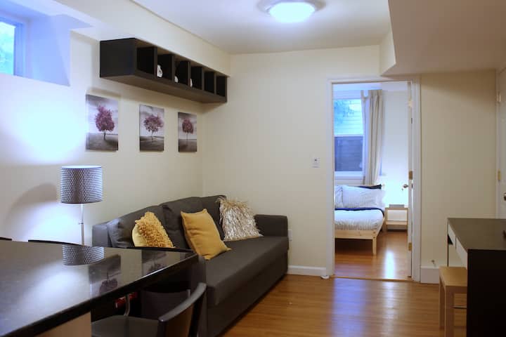 Beautiful Garden Apartment In Coolidge Corner - Brighton - Boston