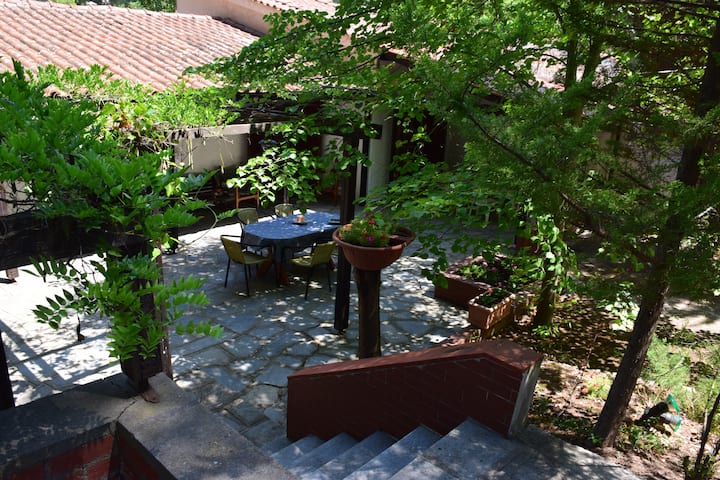 Filyra Forest House - Кассандра