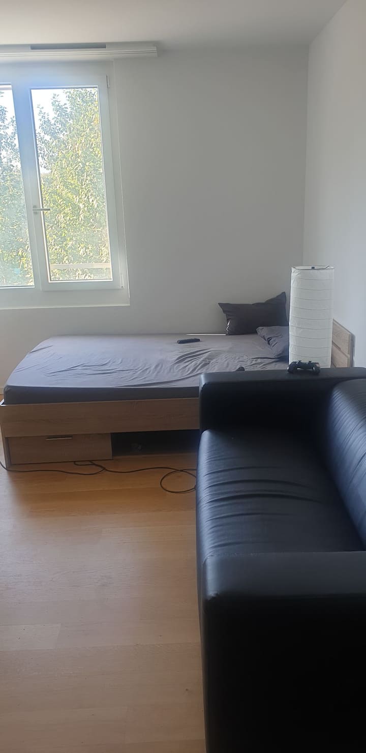 Chambre Dans Appartement - Crissier