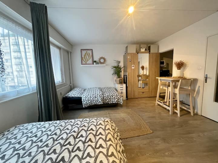 4 Personnes, Parking Gratuit, Proche Centre Ville - Strasbourg