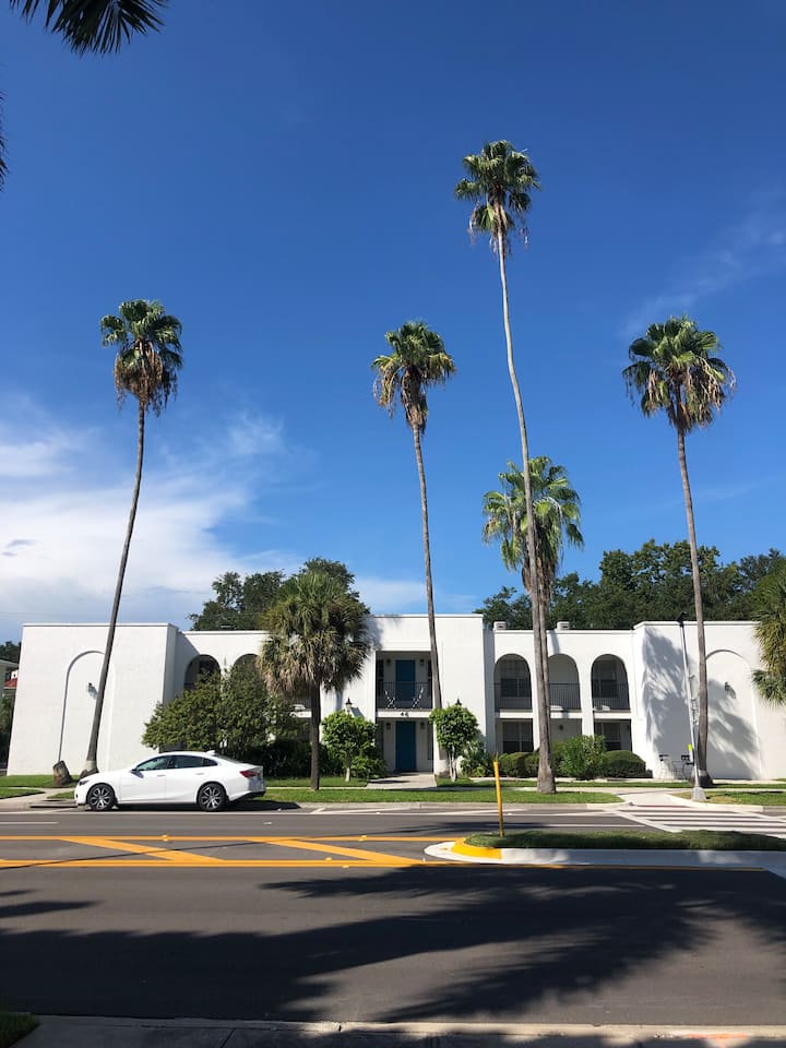 Private Apartment On Davis Islands - Tampa, FL