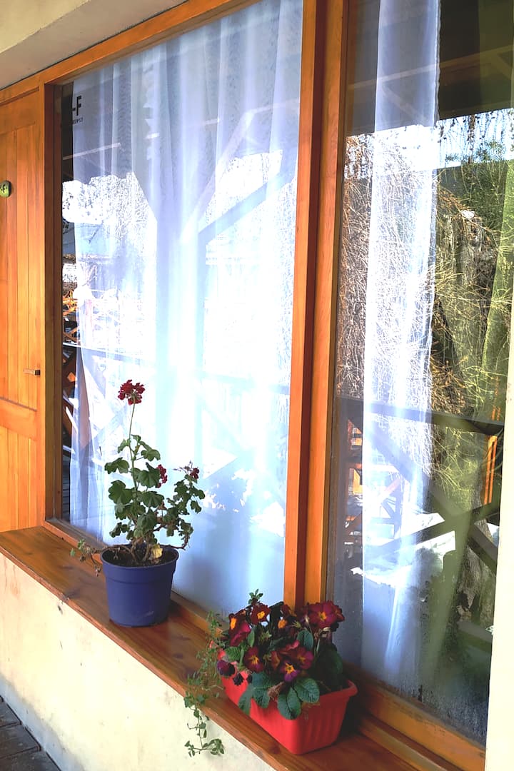 Depto Hermoso En El Centro De Villa La Angostura. - Villa La Angostura