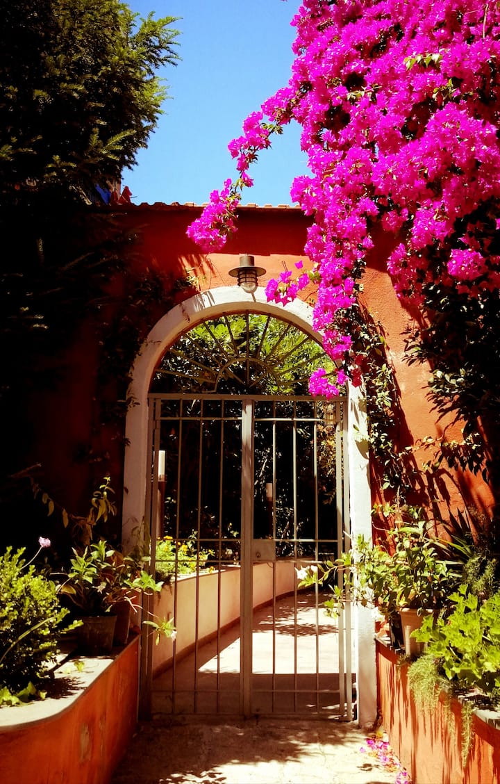 Luxury Villa, 50mt From The Port. Forio, Ischia - Ischia