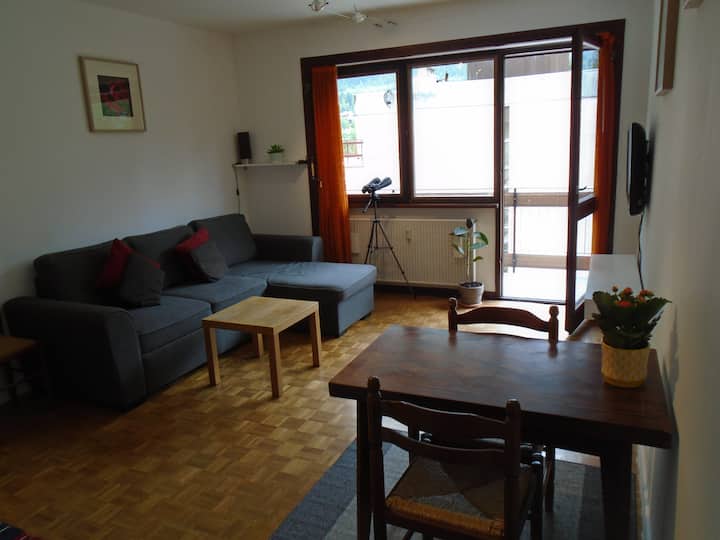 Amazing Views,cosy Apt For 2-4,close To Everything - Chamonix