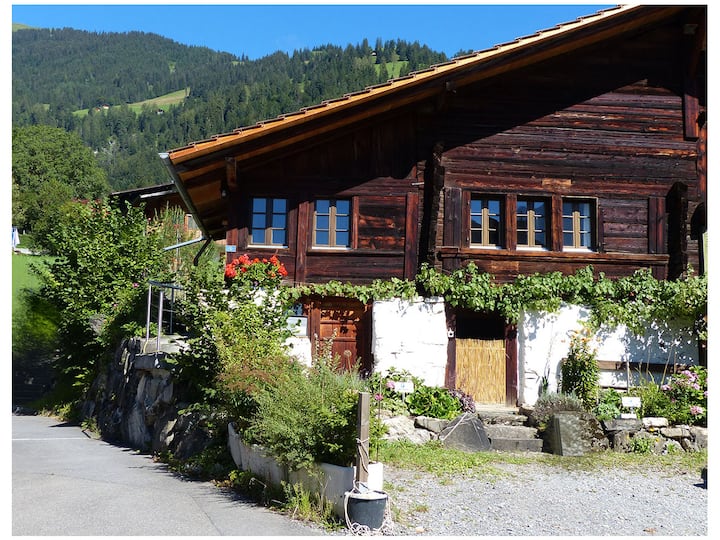 Alpenblick West - Frutigen