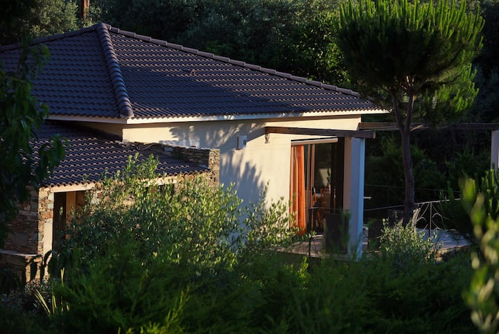 Villa L'albitru, Sisco - Canari