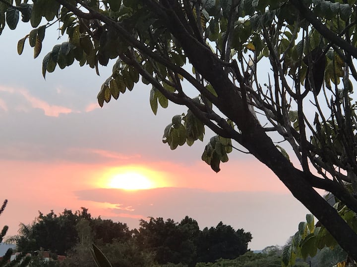 Casa Campo Relax En Medio De Hermosa Vegetación! - Tepoztlán