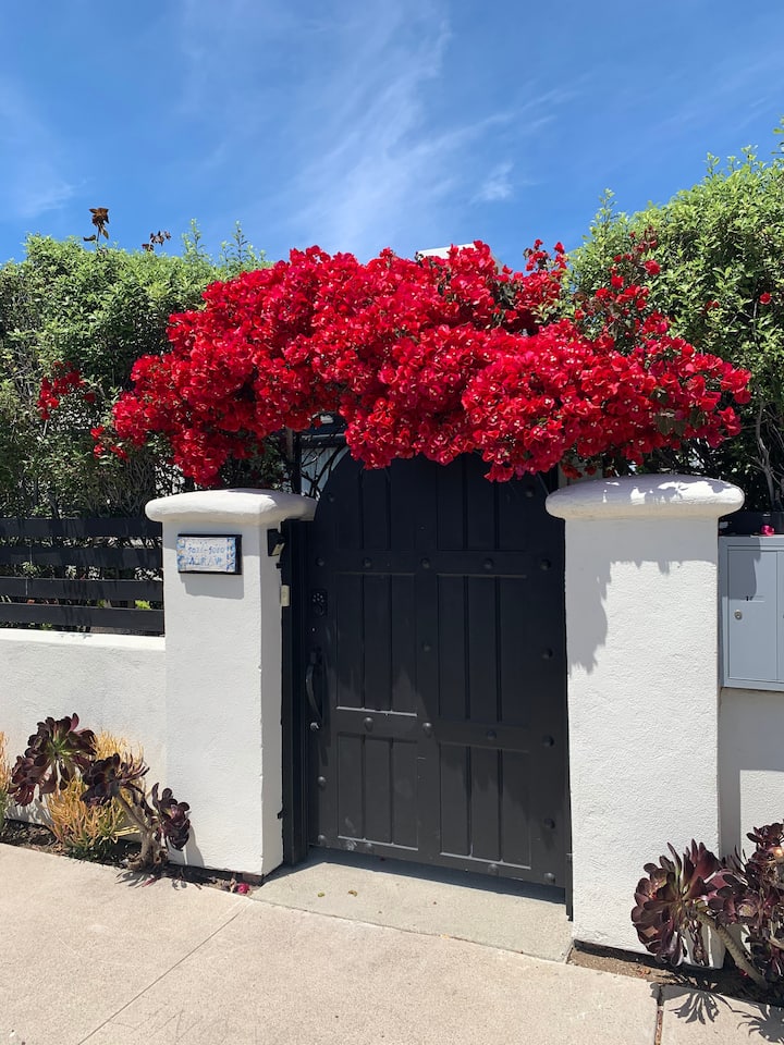 A Piece Of Paradise In Ocean Beach - San Diego