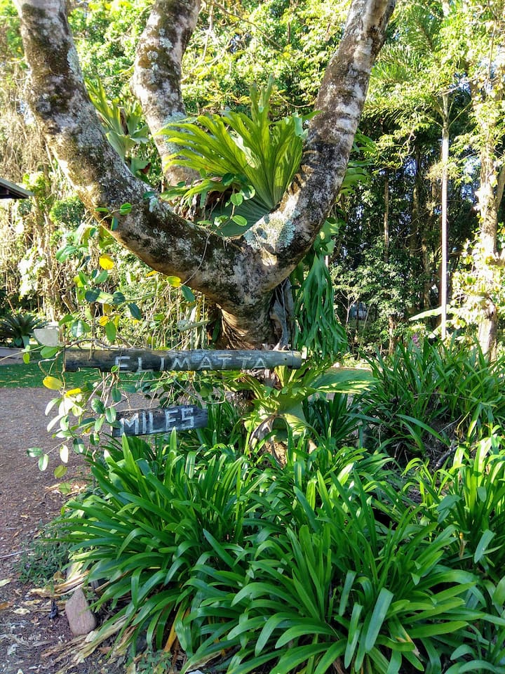 Rustic Studio In Doonan - Eumundi