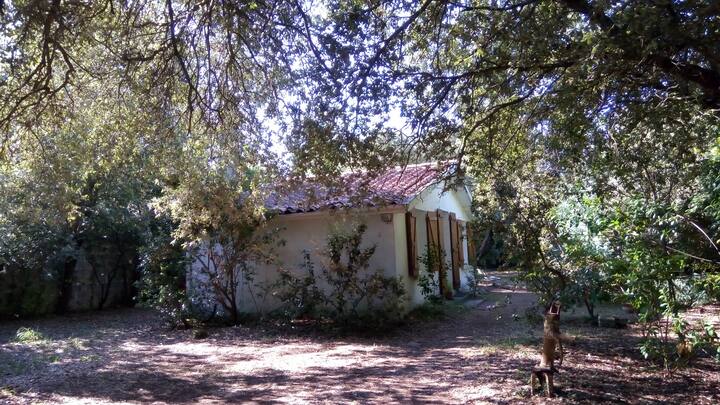 Maison Sur Grand Terrain Arboré à 100m De La Plage - Soulac-sur-Mer