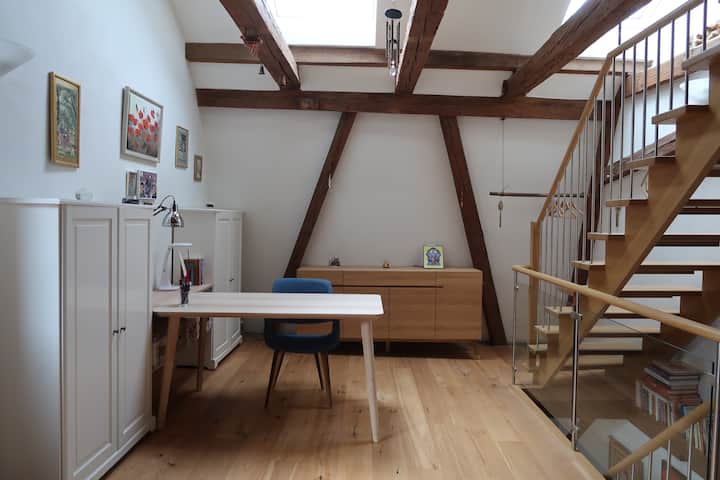 Unique Ecological Housing - Just Like At Home - Zurich