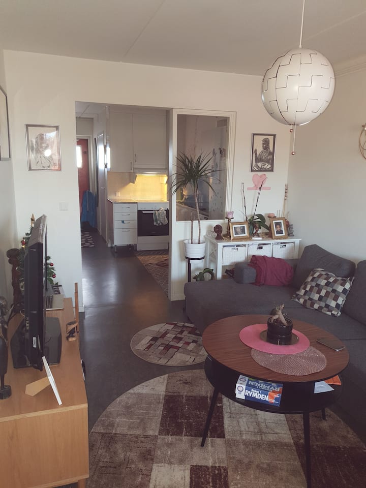 Cozy 3 Room Apartment - Stockholm