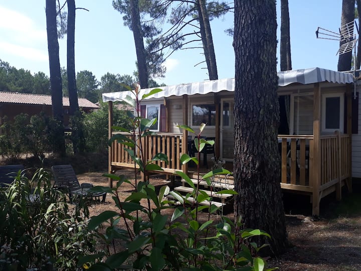 Bungalow Tout Confort - Lit-et-Mixe