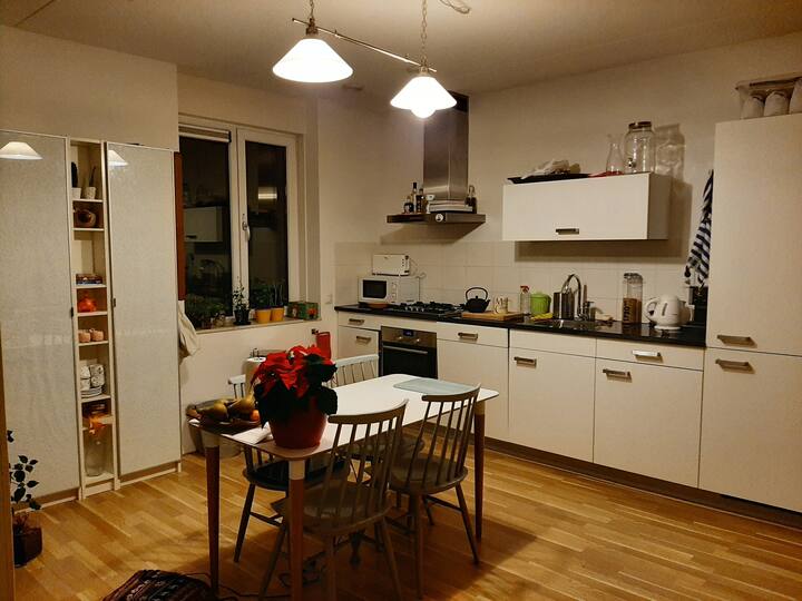 Central Condo W. Great View In Quiet Neighborhood - Utrecht