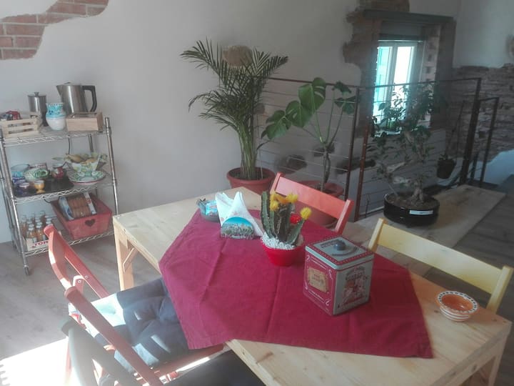 Yhouse 33 - Trento