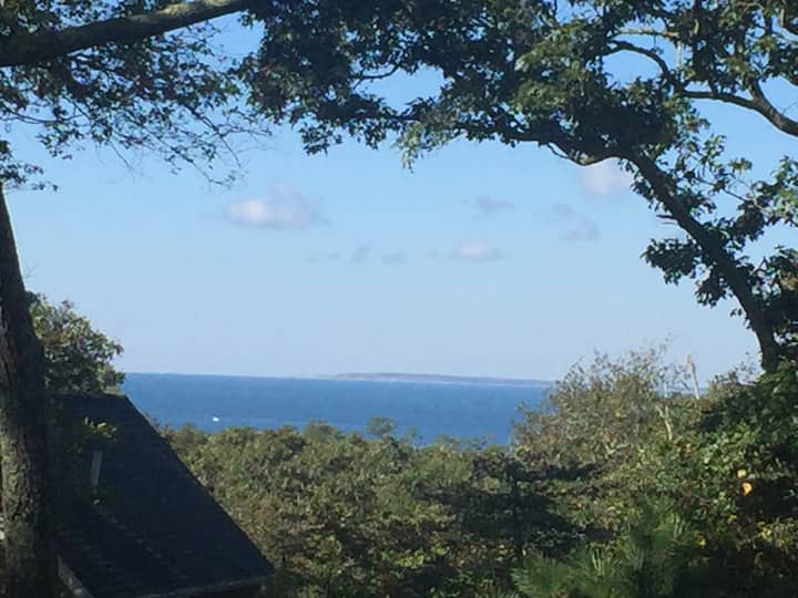 Lambert's Cove Retreat, Water View, Beach Pass - West Tisbury, MA