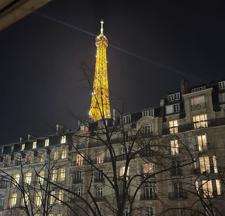 Elffel Tower View - Front Row + Terrace - Paris