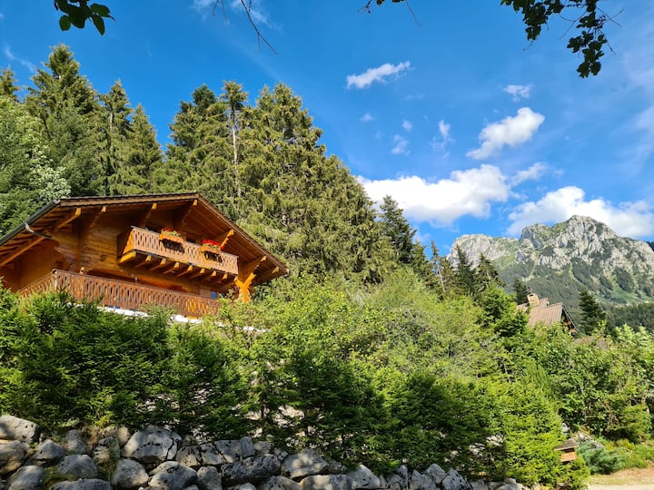 Chalet De Charme, Entre Lac Et Montagne - Bernex