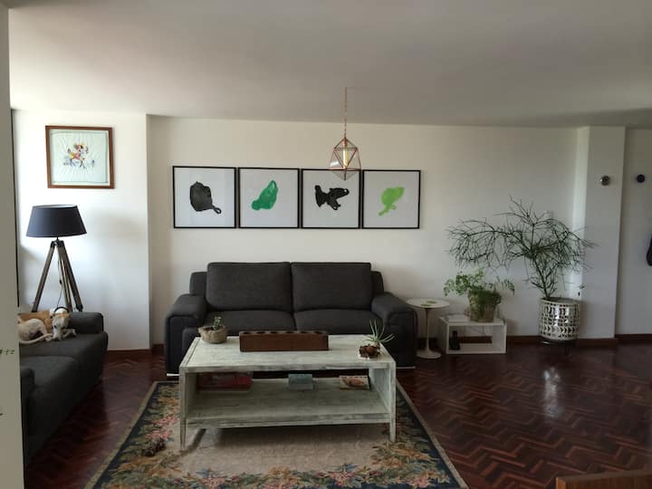 Penthouse With 2 Rooms. 2 Blocks Wtc - Messico