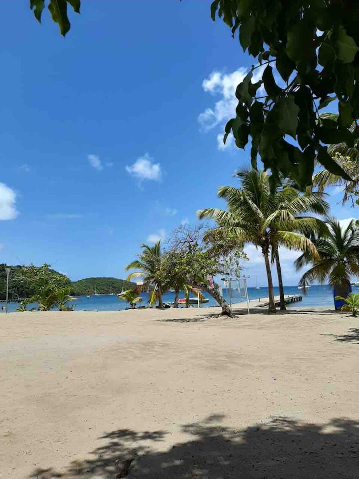 Sur La Route Des Plages - Martinique