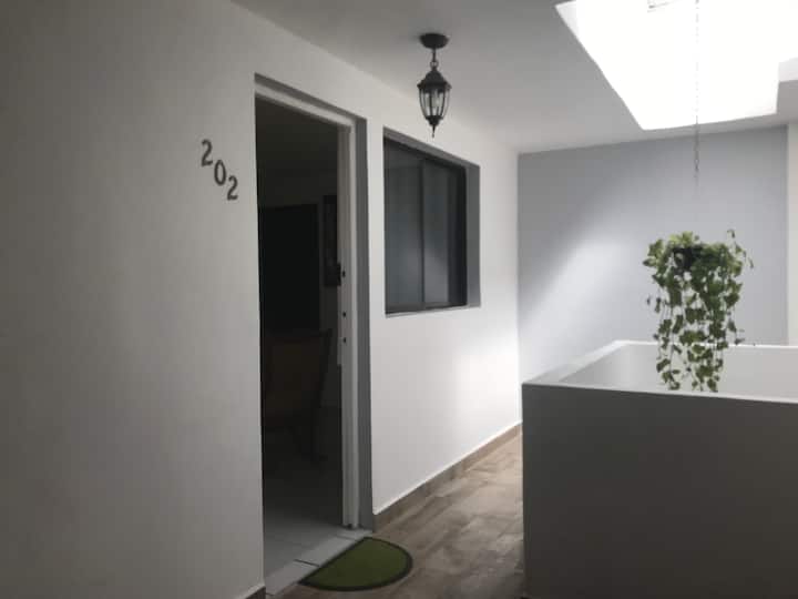 Depamini Básico En El Centro - Veracruz