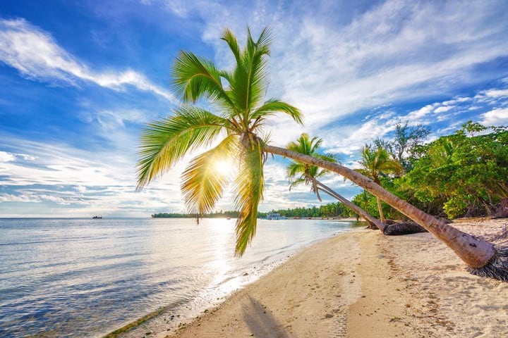 !!. La Opción Perfecta Para Tus Vacaciones !!! - Punta Cana