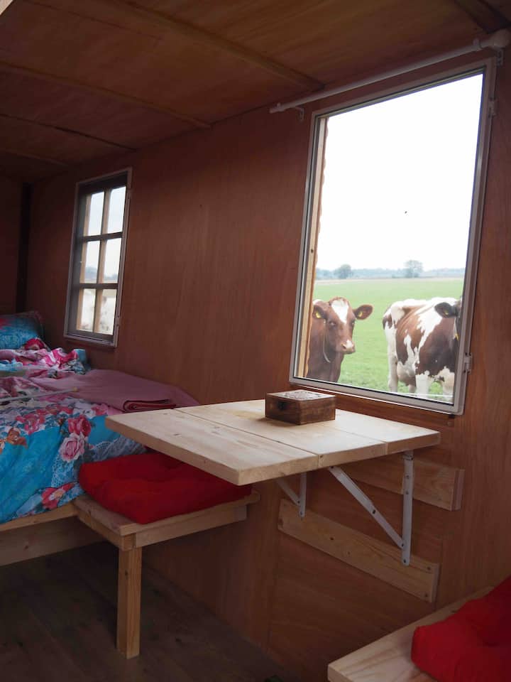 Origineel Slapen In Een Pipowagen Met Kingsize Bed - Venray
