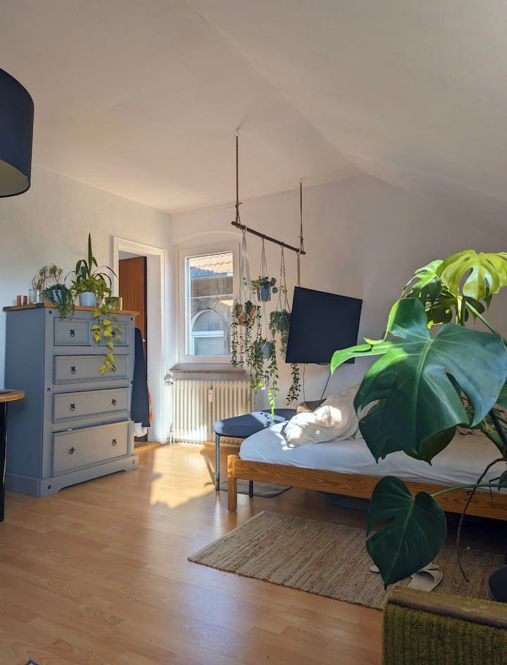 Helles, Großes Zimmer In Wg - Braunschweig