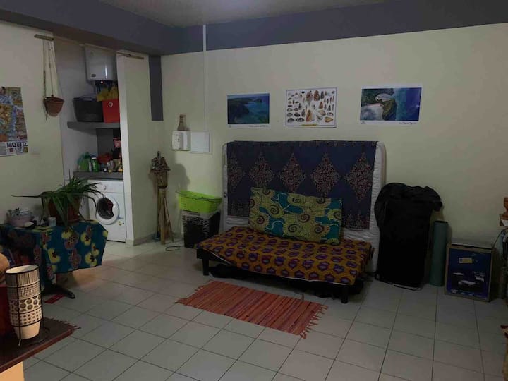 Apartment + terrace, roommate with Marcel the cat - Apartments for Rent ...