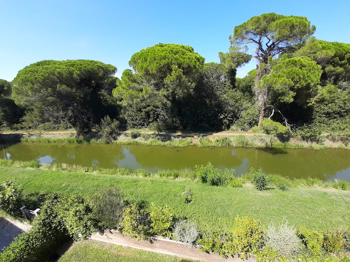 Attico Climatizzato Grande Terrazzo Vista Pineta - Milano Marittima