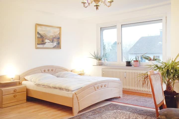 Zimmer 28 M² Mit Aussicht Zum Herkules - Kassel
