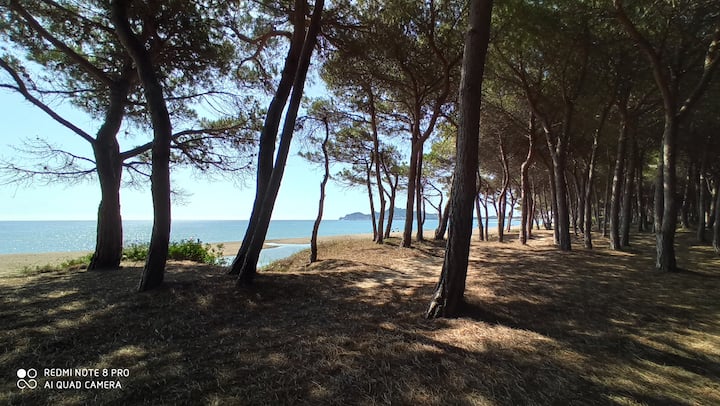 The Colour Blue - Sardinien
