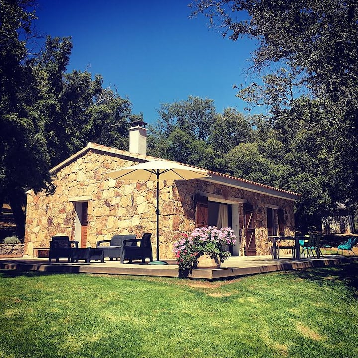 Maison Type Bergerie Corse - Corsica