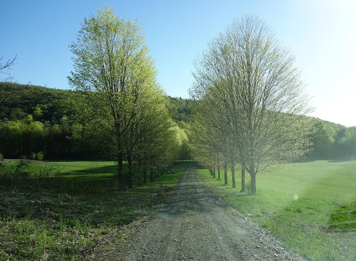 Beautiful Hudson Valley Views - ゲント, NY