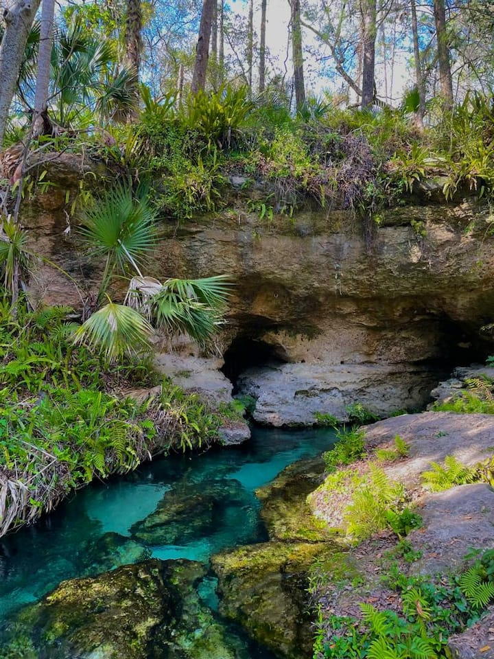 Near Orlando Attractions Wekiwa Springs House - Altamonte Springs, FL