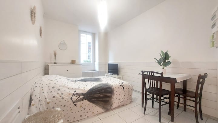 Studio Meublé Au Pied Du Château De Lourdes - Lourdes